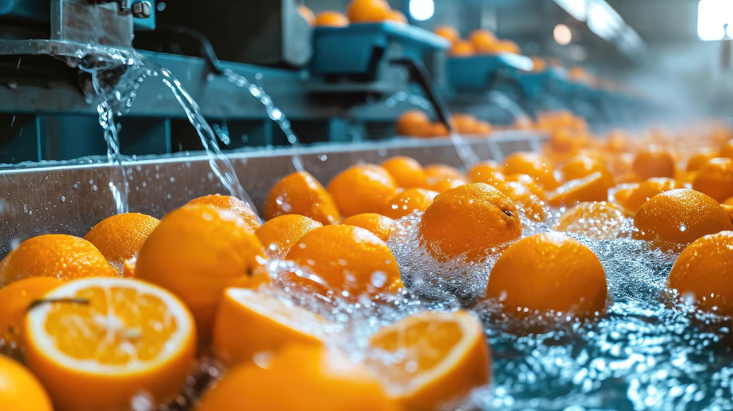 Water Storage: A Cornerstone of the Food Processing Sector – Nexteel ...